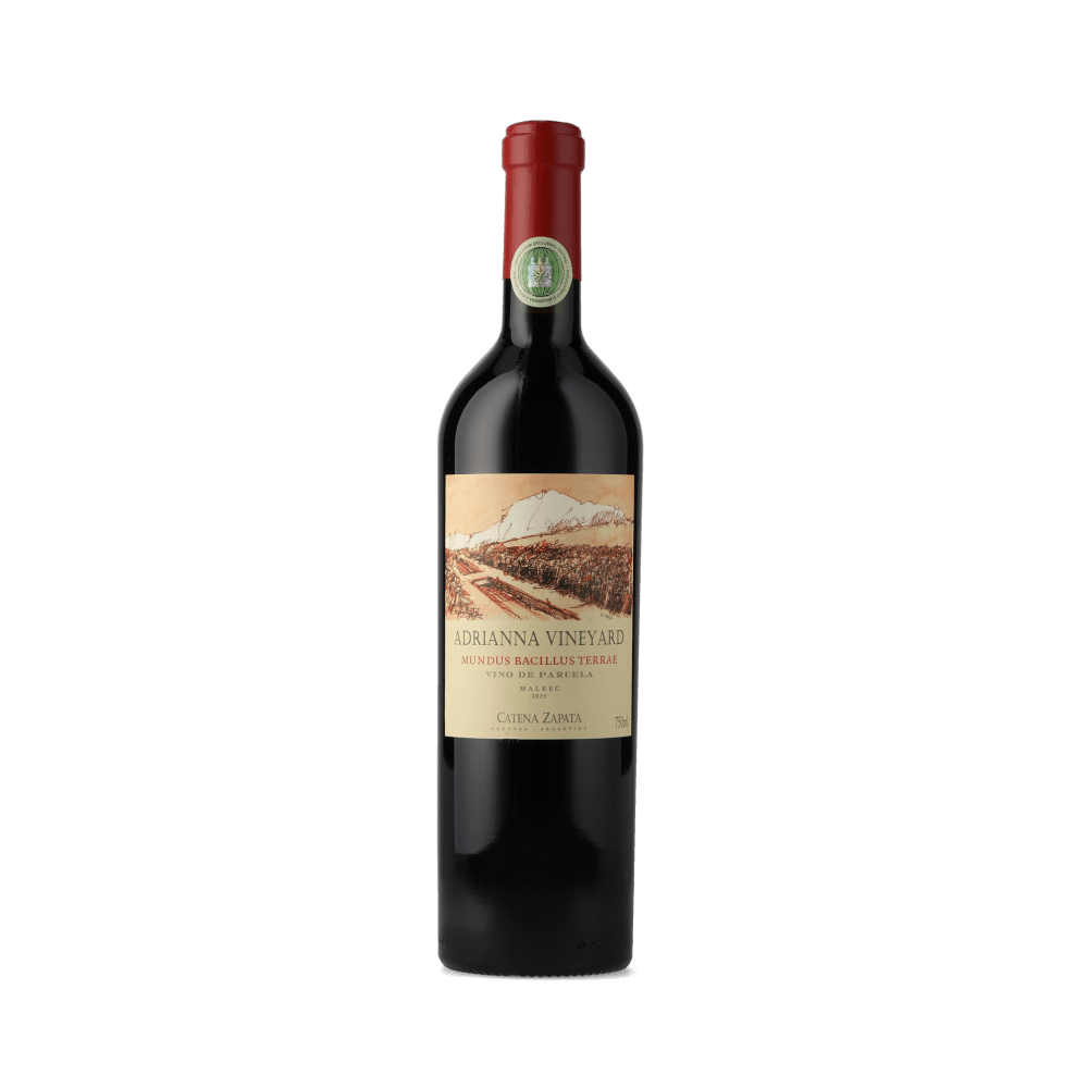 Vinhos Malbec: conheça os melhores vinhos da uva Malbec - Mistral - Mistral